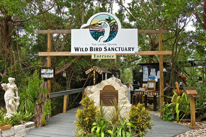 Florida Keys Wild Bird Center