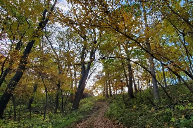 Fontenelle Forest