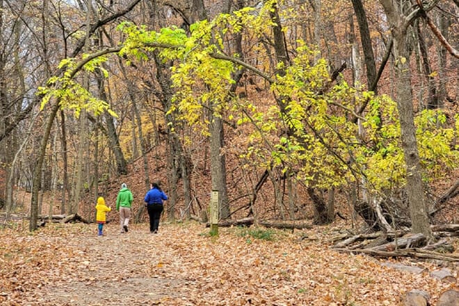 Forest Park Nature Center