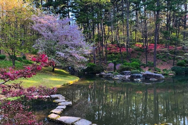 Garvan Woodland Gardens