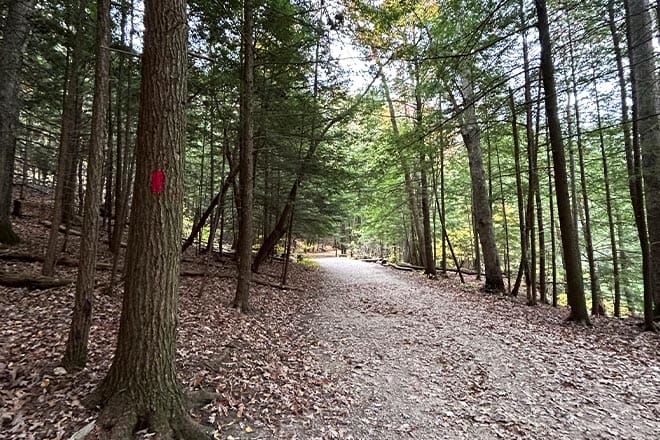 Gorge Overlook Trail