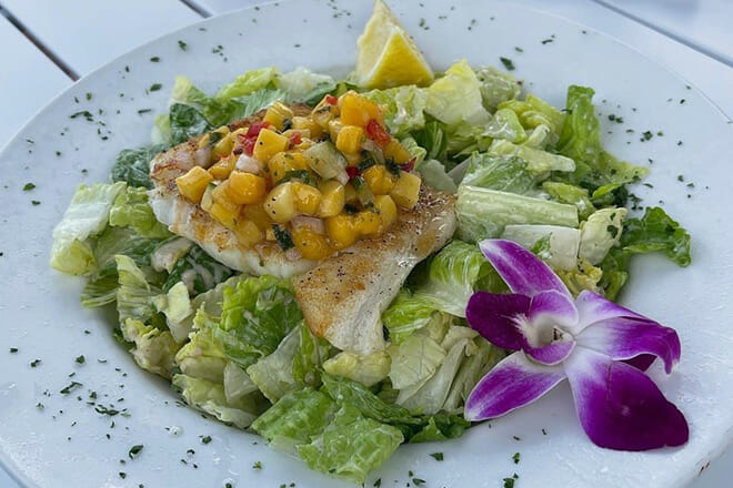 Gramma Dot&rsquo;s Seaside Saloon