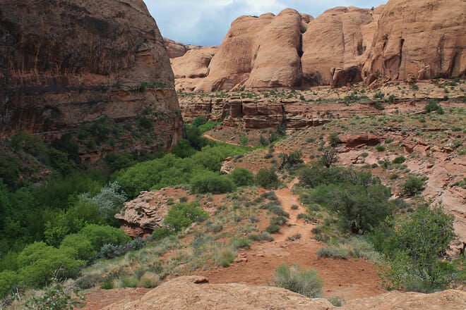 Grandstaff Canyon Trail