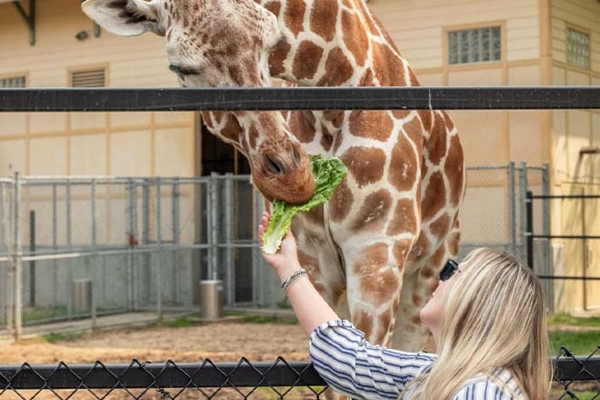Great Plains Zoo
