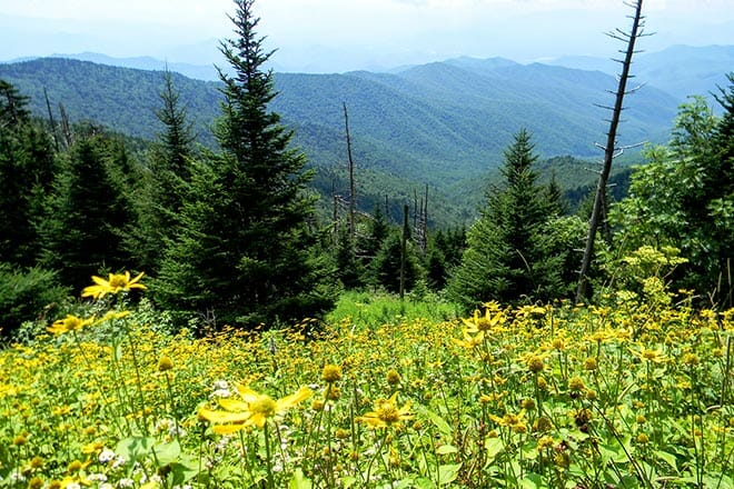 great smoky mountains national park