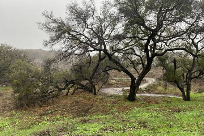 Harmon Canyon Preserve