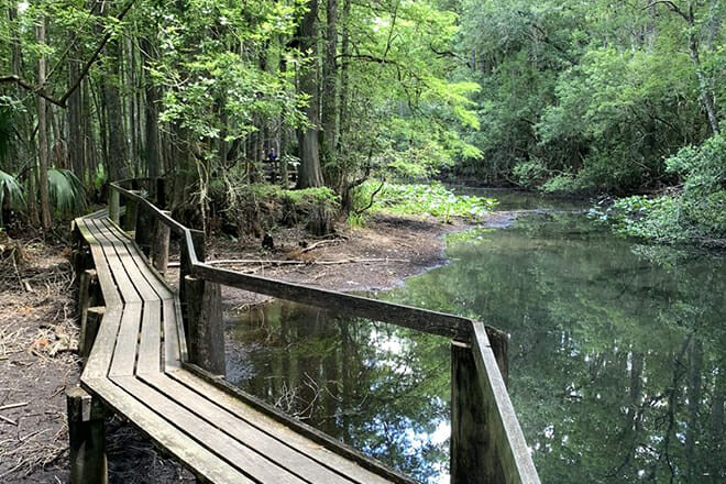 Highland Hammock State Park