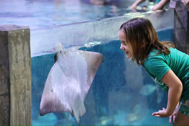 Houston Interactive Aquarium and Animal Preserve