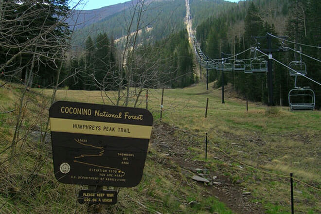 Humphrey's Peak Trail