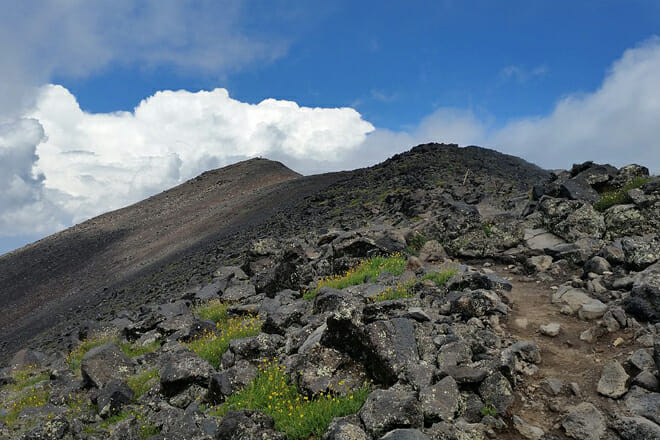 Humphrey's Peak Trail