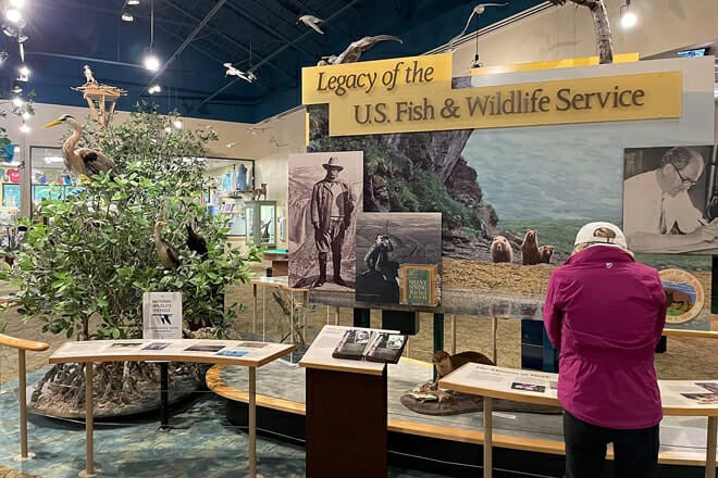 JN Ding Darling National Wildlife Refuge