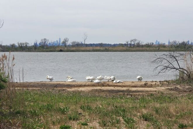 Jamaica Bay Wildlife Refuge