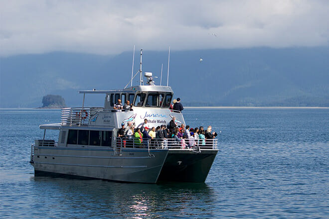 Juneau Wildlife Whale Watching