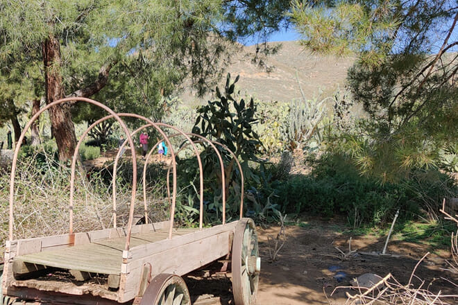 Jurupa Mountains Discovery Center