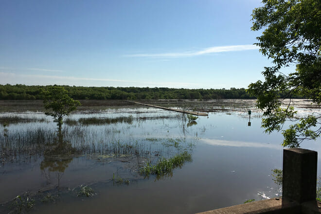 Lake Waco Wetlands