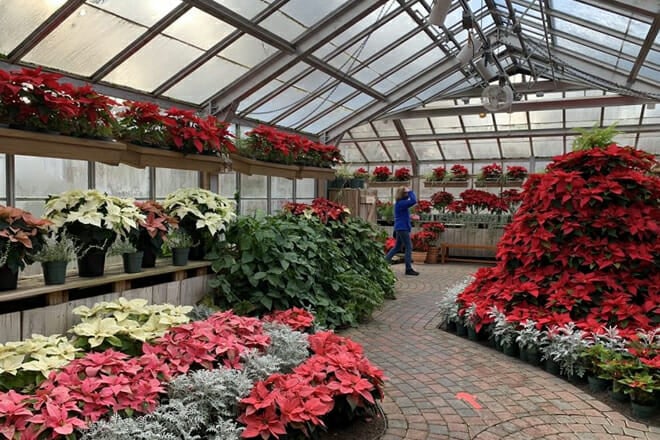 Lamberton Conservatory