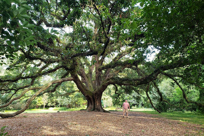 Lichgate on High Road
