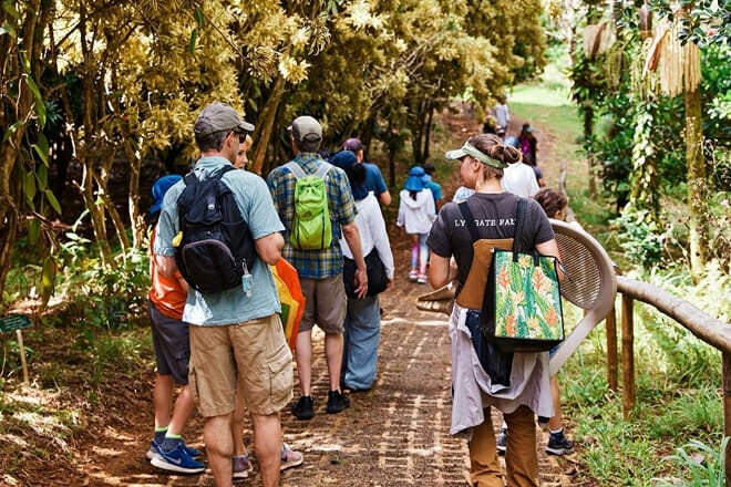 Lydgate Farms Chocolate Tour