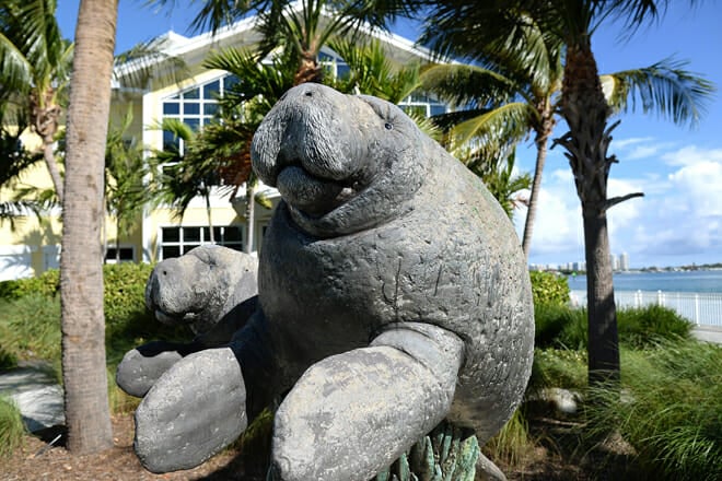 Manatee Lagoon