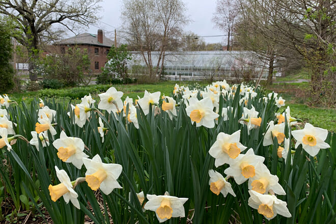 Marsh Botanical Garden