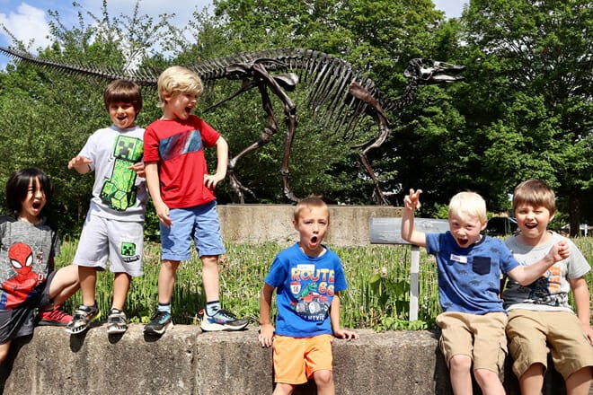 McClung Museum of Natural History & Culture