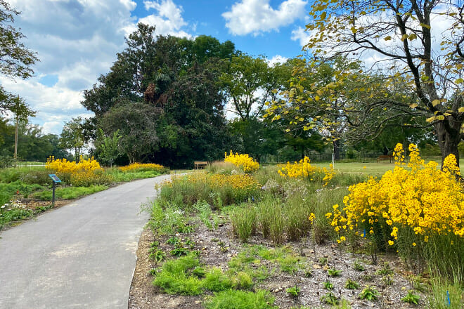 Memphis Botanic Garden