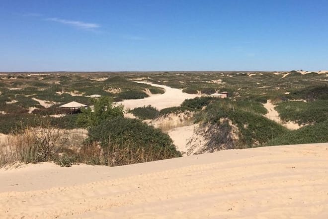 Mescalero Sands North Dune OHV Area