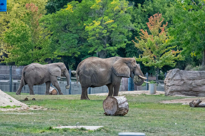 Milwaukee County Zoo