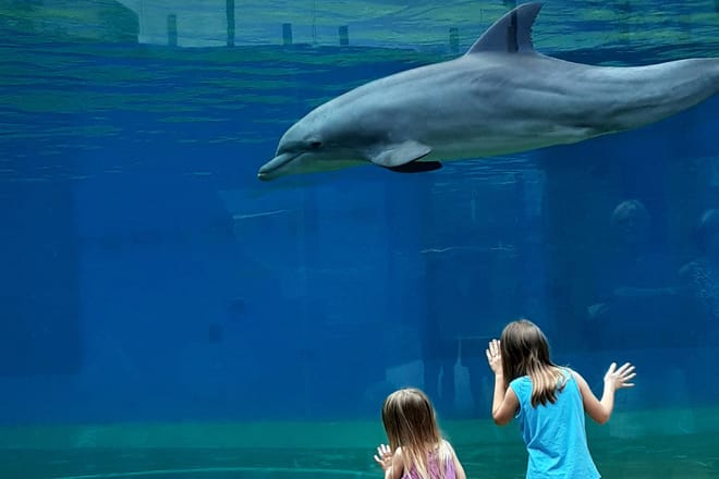 Mississippi Aquarium