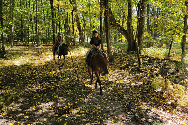 Mountain Creek Riding Stable