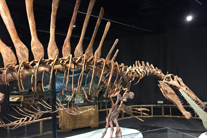 Museum of Natural Sciences of Barcelona