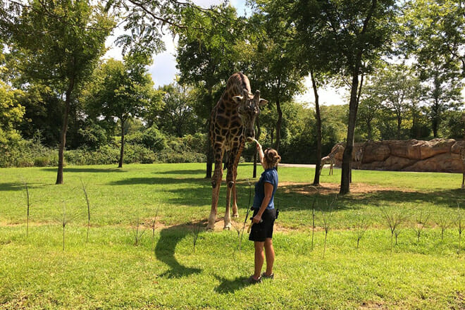 Nashville Zoo at Grassmere