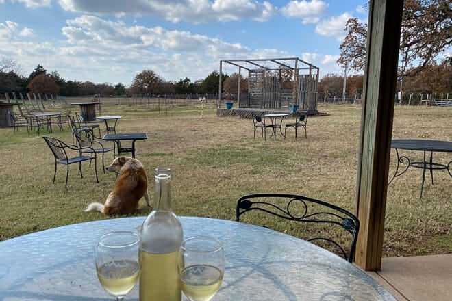 Native Spirits Winery