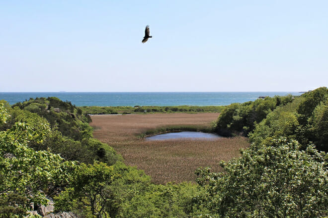 Norman Bird Sanctuary