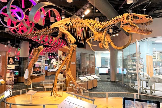 North Carolina Museum of Natural Sciences