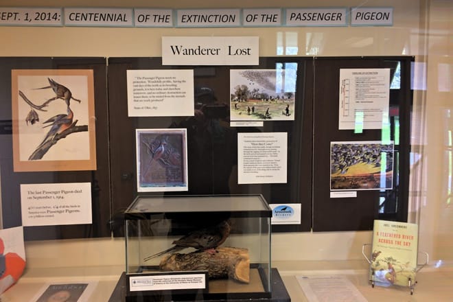 Northern Maine Museum Of Science