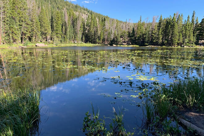 Nymph Lake