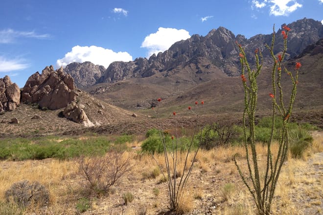 Organ Mountains-Desert Peaks National Monument