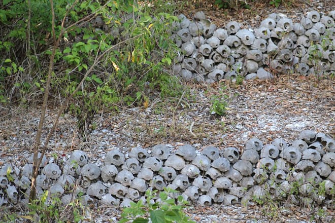 Otter Mound Preserve