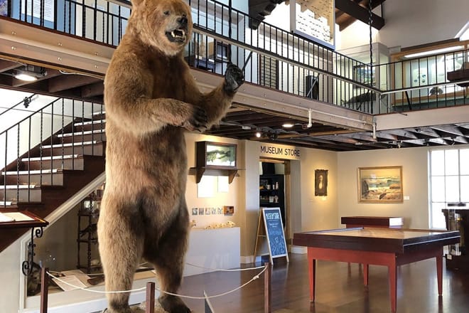 Pacific Grove Museum of Natural History