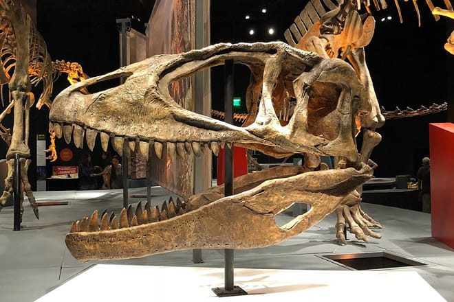 Perot Museum of Nature and Science