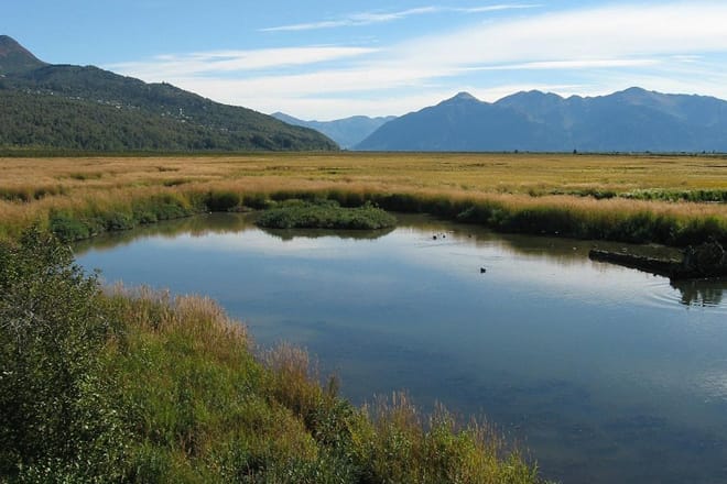 Potter Marsh Bird Sanctuary