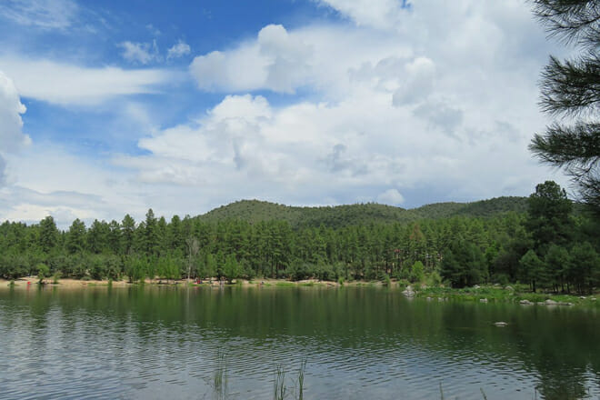 Prescott National Forest