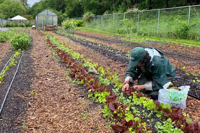 Queens Botanical Garden
