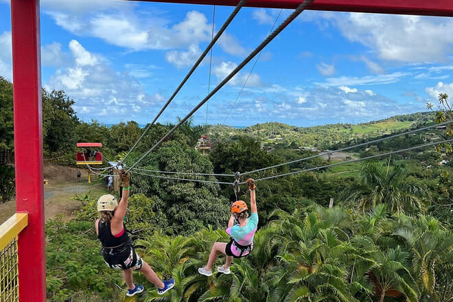 Rainforest Zipline Park