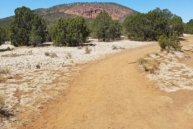 Red Mountain Trail