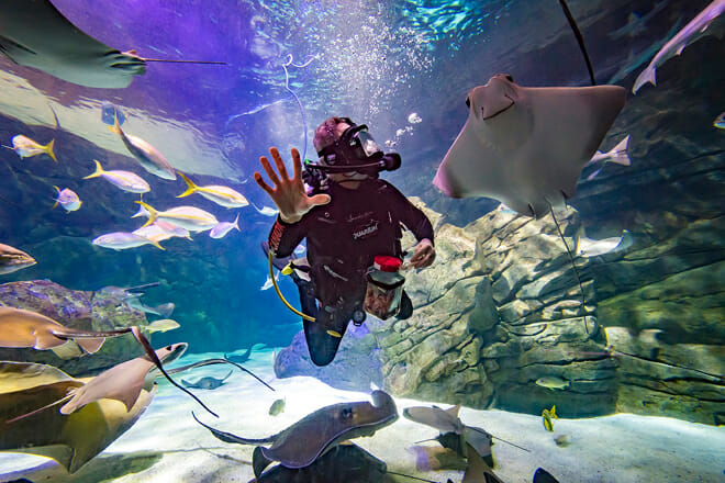 Ripley's Aquarium of Canada