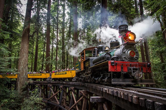 Roaring Camp Train