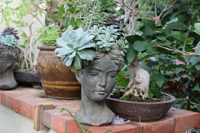 Roger Williams Park Botanical Center