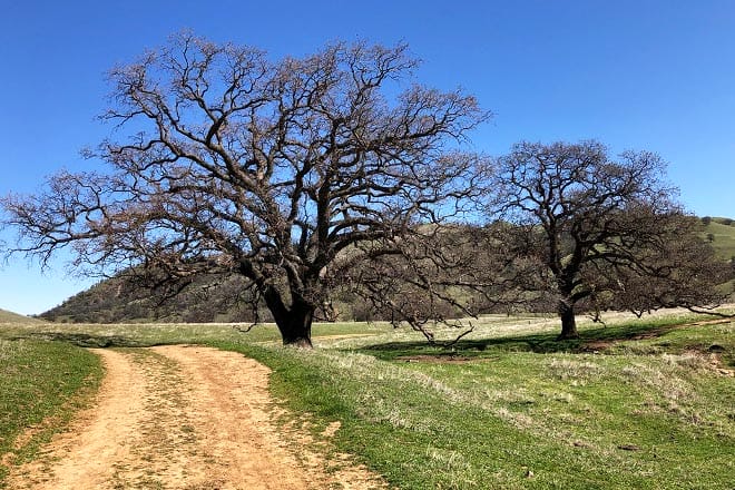 Round Valley Regional Preserve